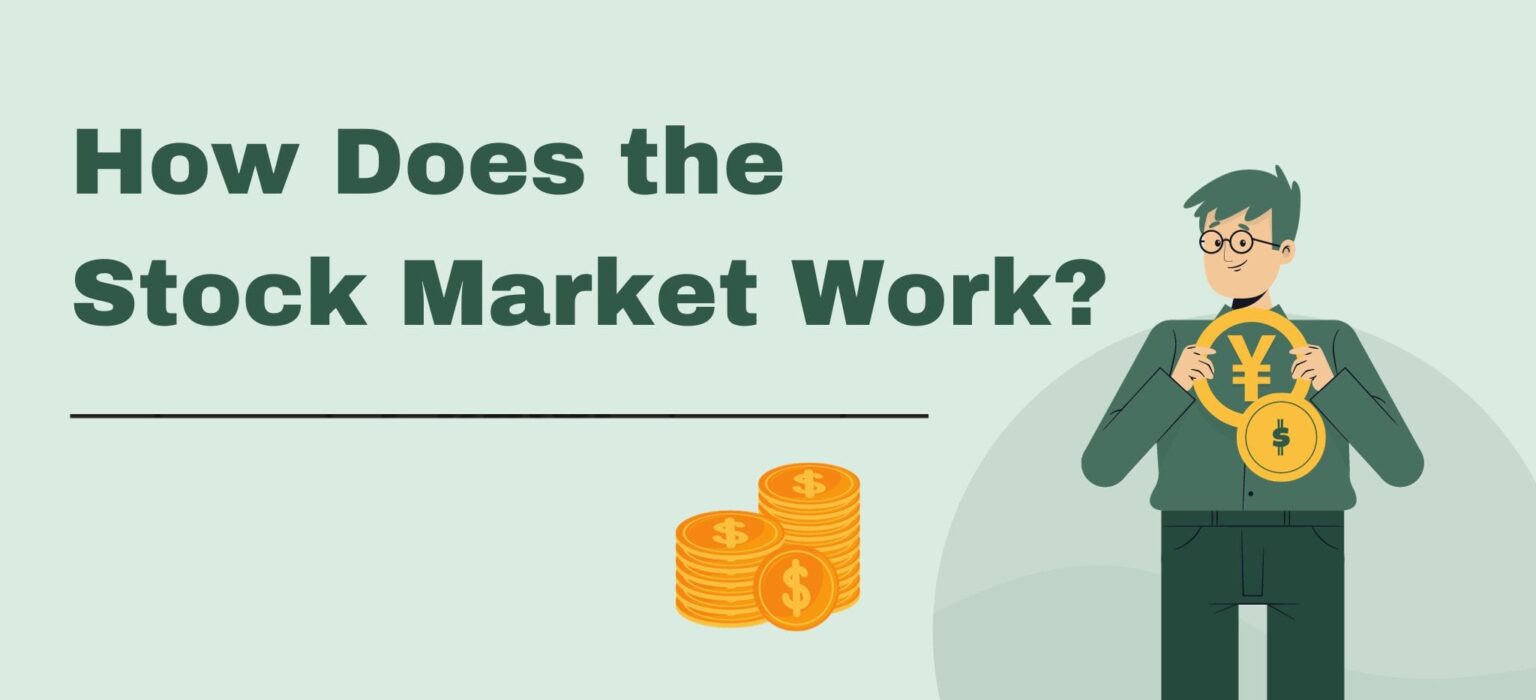 How Stock Market Classes Work: A Beginner's Guide